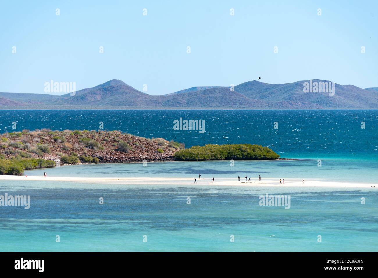 Conception Bay High Resolution Stock Photography and Images - Alamy