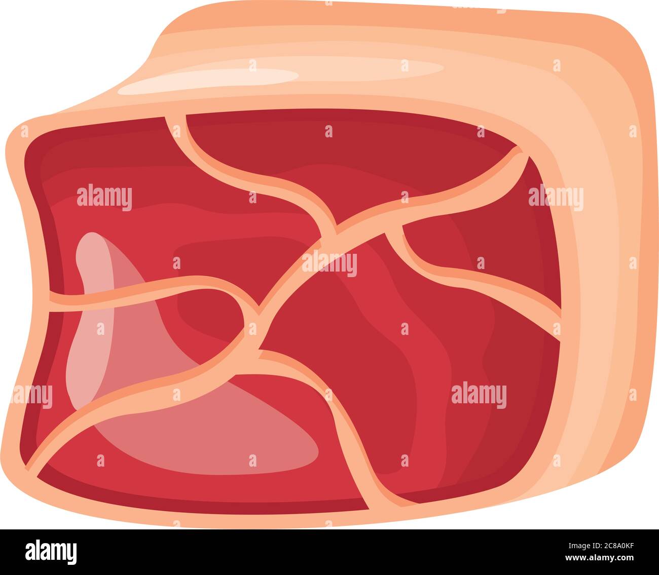 meat cut detailed style icon vector illustration design Stock Vector ...