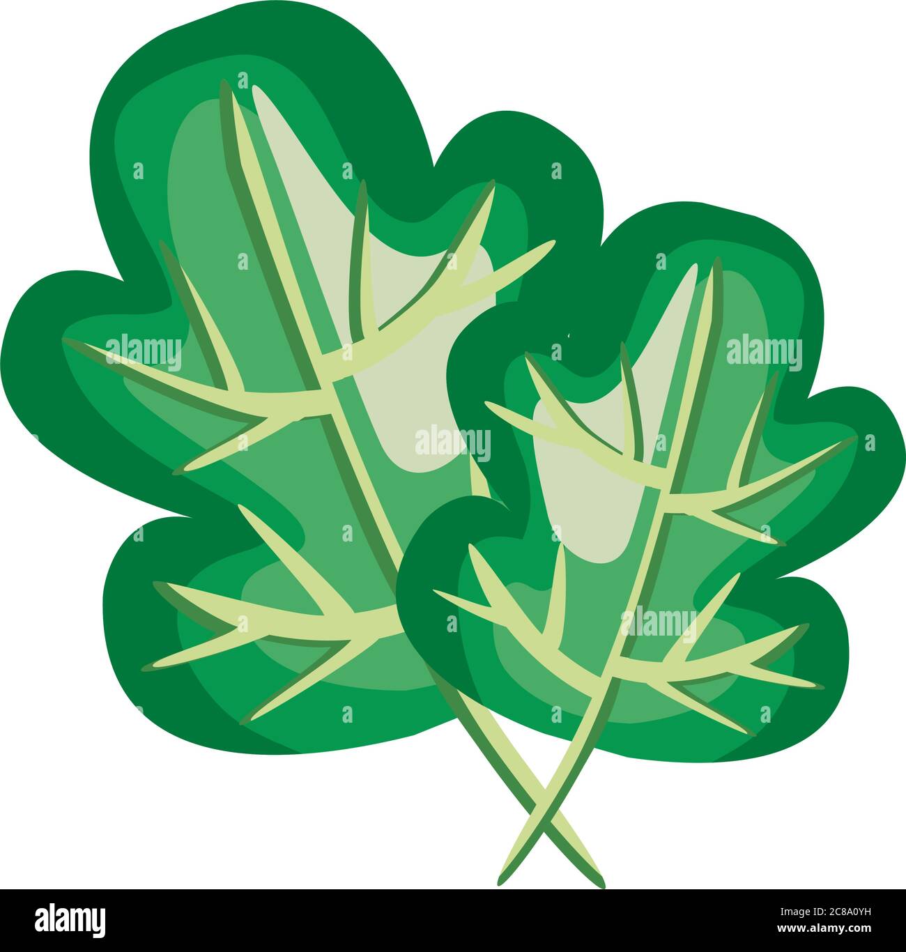 spinach healthy vegetable detailed style icon vector illustration ...