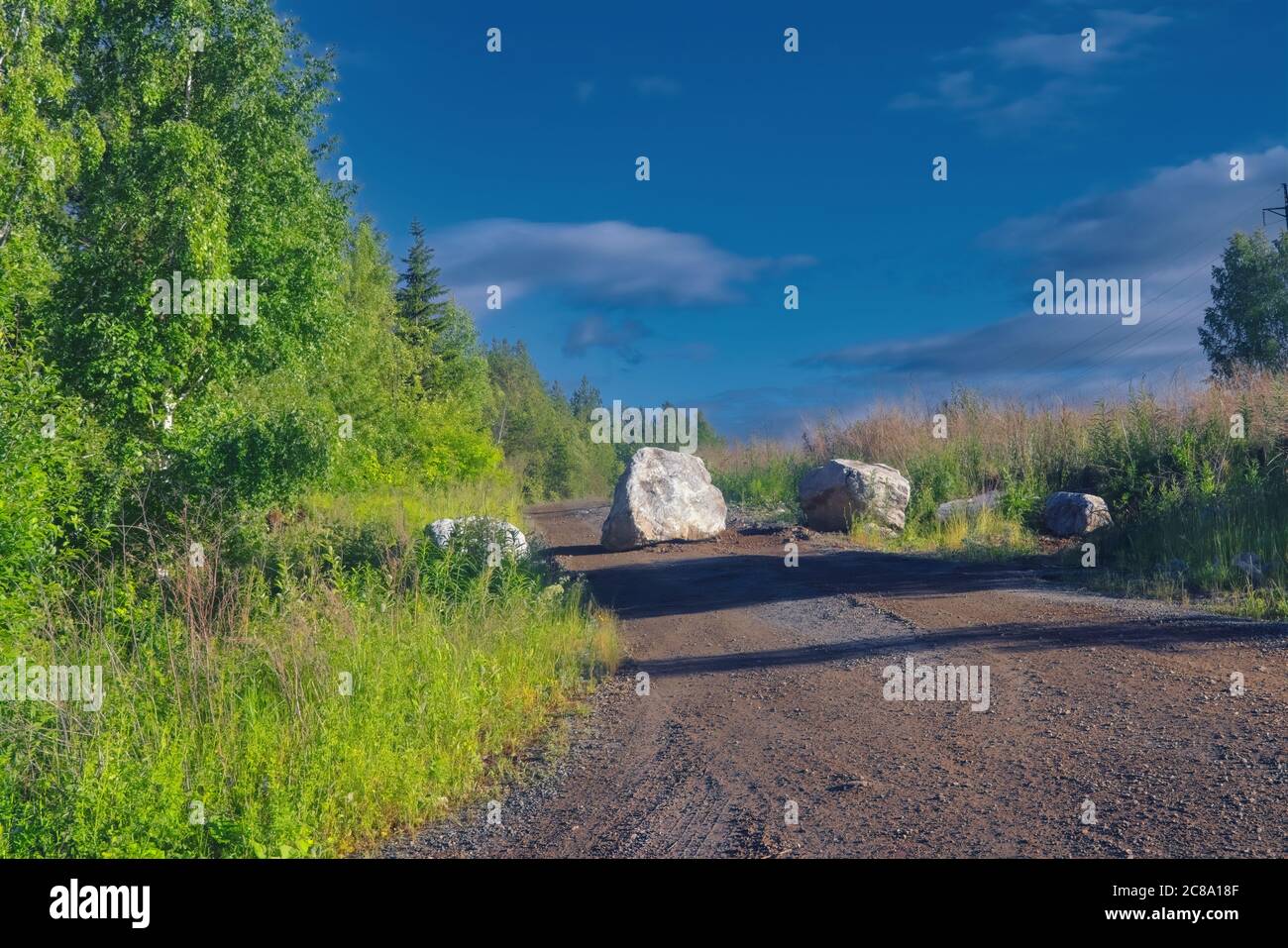 Boulder blocks a forest path. On a forest path is a large rocks that ...
