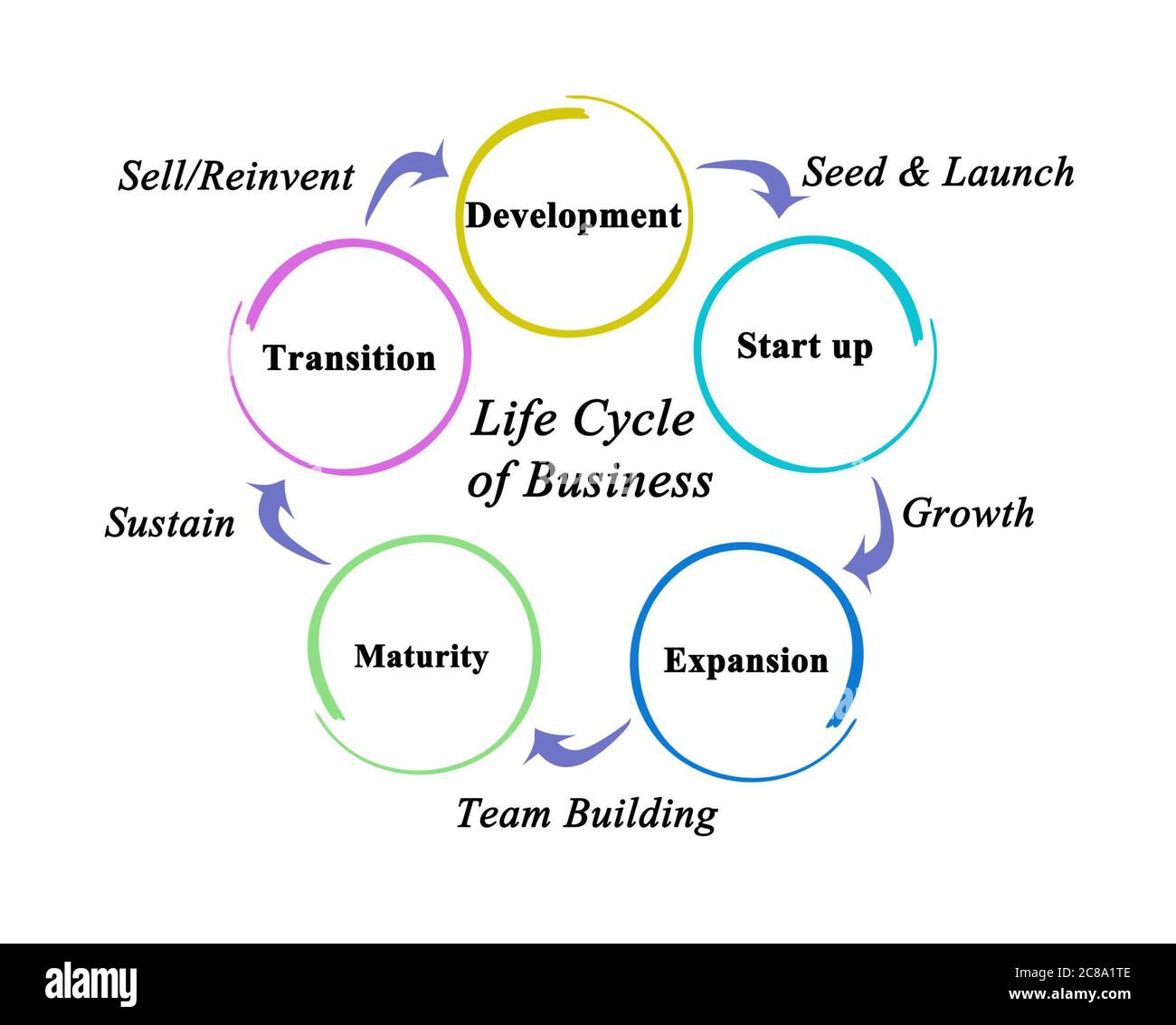 Steps of Life Cycle of Business Stock Photo - Alamy