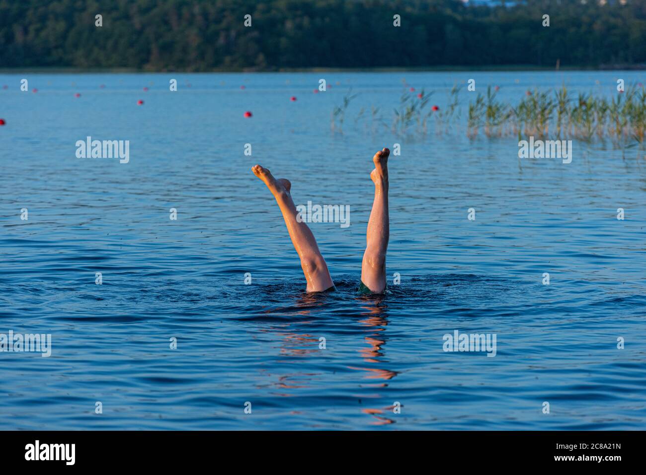 A person standing upside down in a lake. Legs visible over water Stock ...