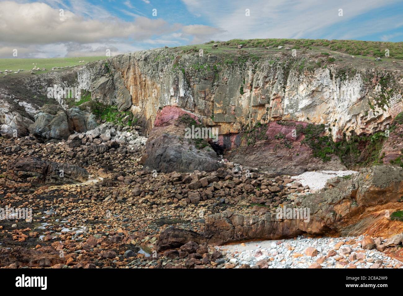 Shown here are the sea cliffs on the Rhoscolyn coast leading to ...