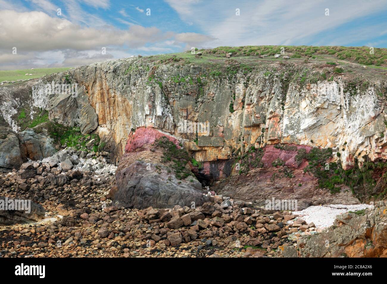 Shown here are the sea cliffs on the Rhoscolyn coast leading to ...