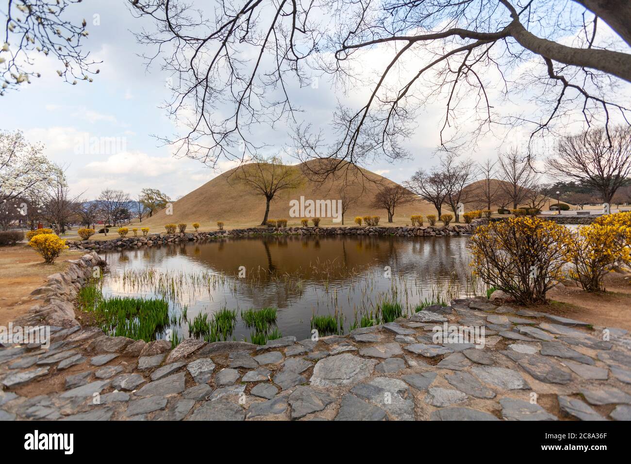 Pond in Tumuli Park (Daereungwon Tomb Complex), Gyeongju, South Korea ...