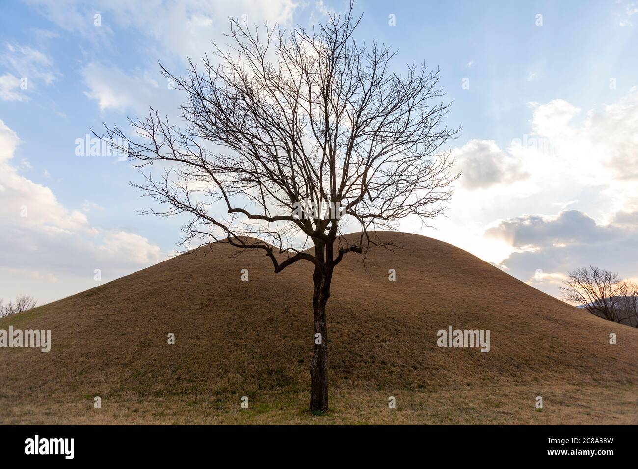 Tumuli Park (Daereungwon Tomb Complex), Gyeongju, South Korea Stock ...