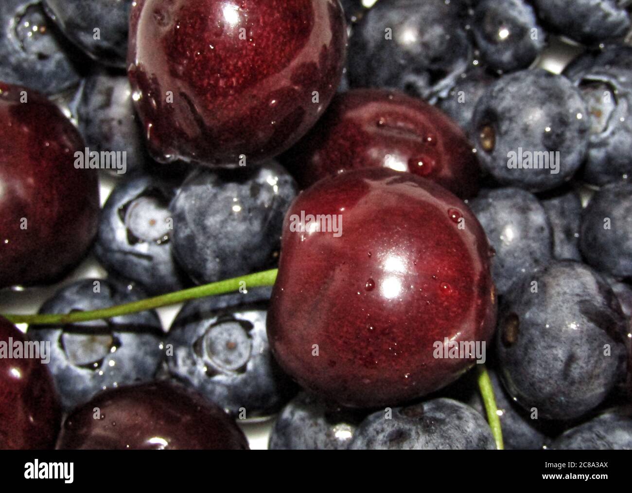 Various Macro credit Ian Fairbrother/Alamy Stock Photos Stock Photo - Alamy