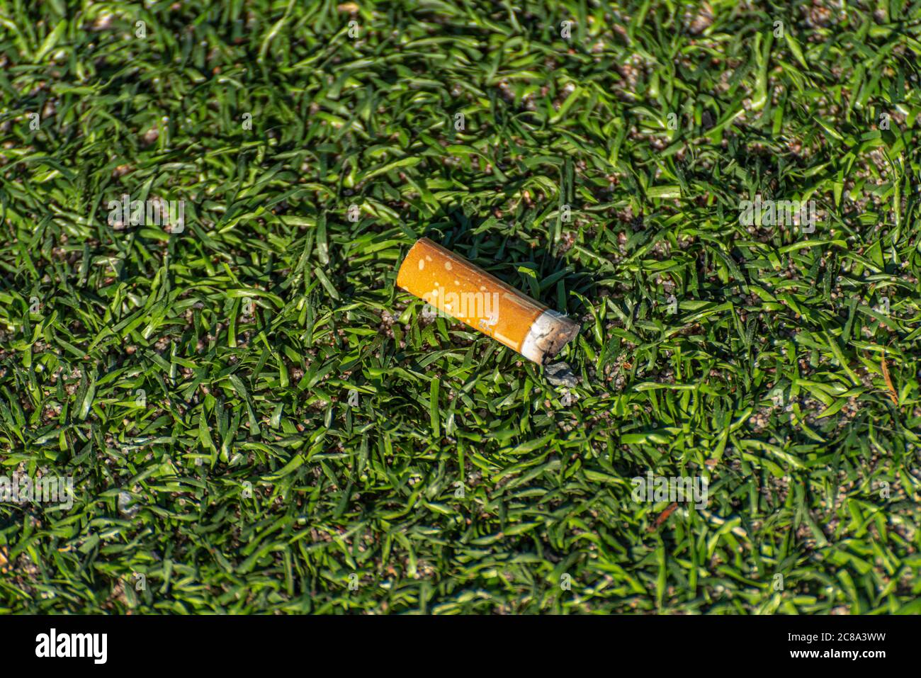 Cigarette filter on artificial grass Stock Photo - Alamy