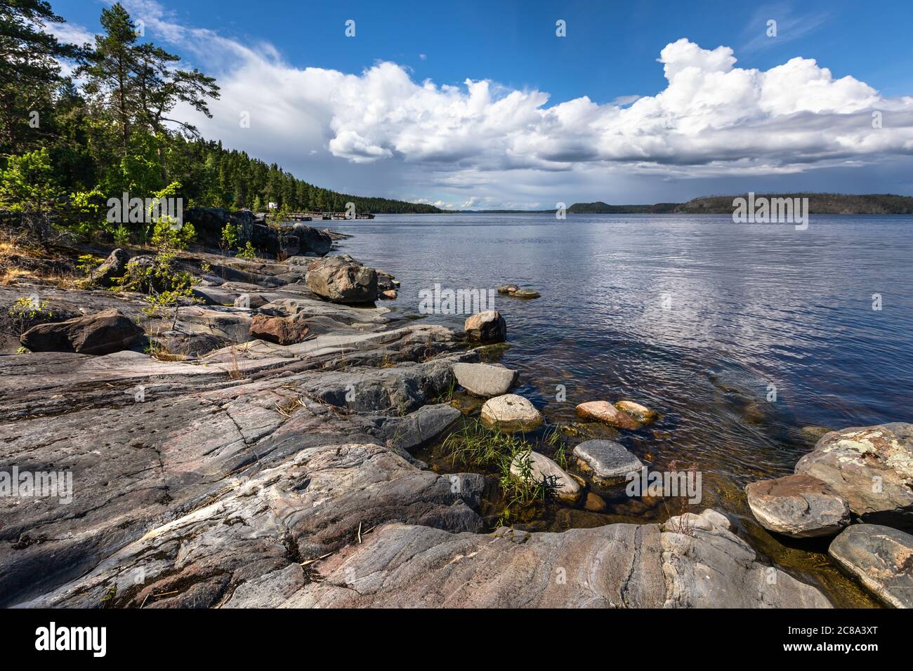 Granite rock pine trees hi-res stock photography and images - Alamy