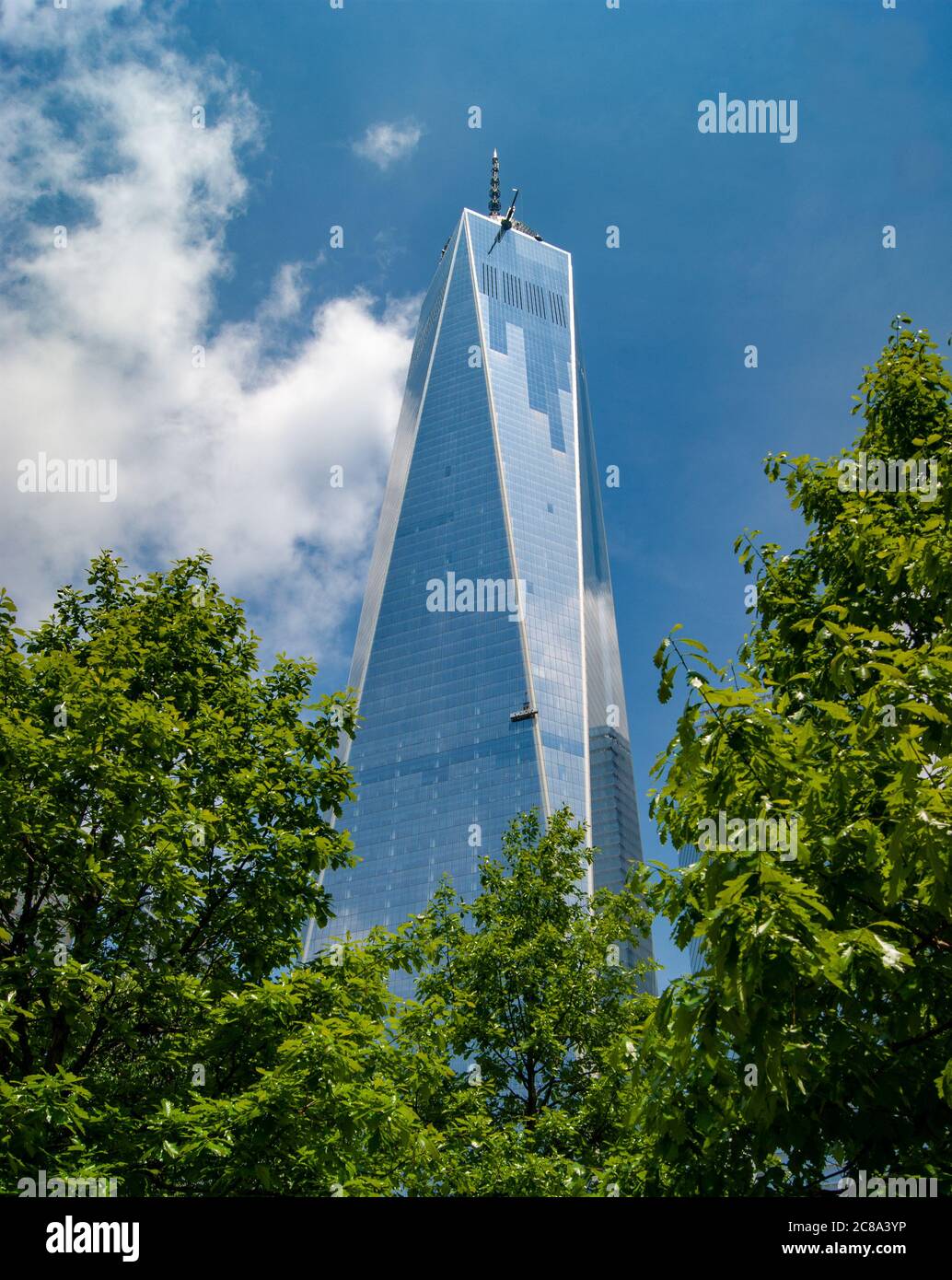 World Trade Tower through the Trees Stock Photo - Alamy