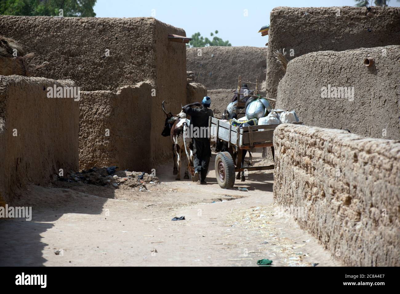 An ox cart is used to transport goods in an indigenous Fulani village ...