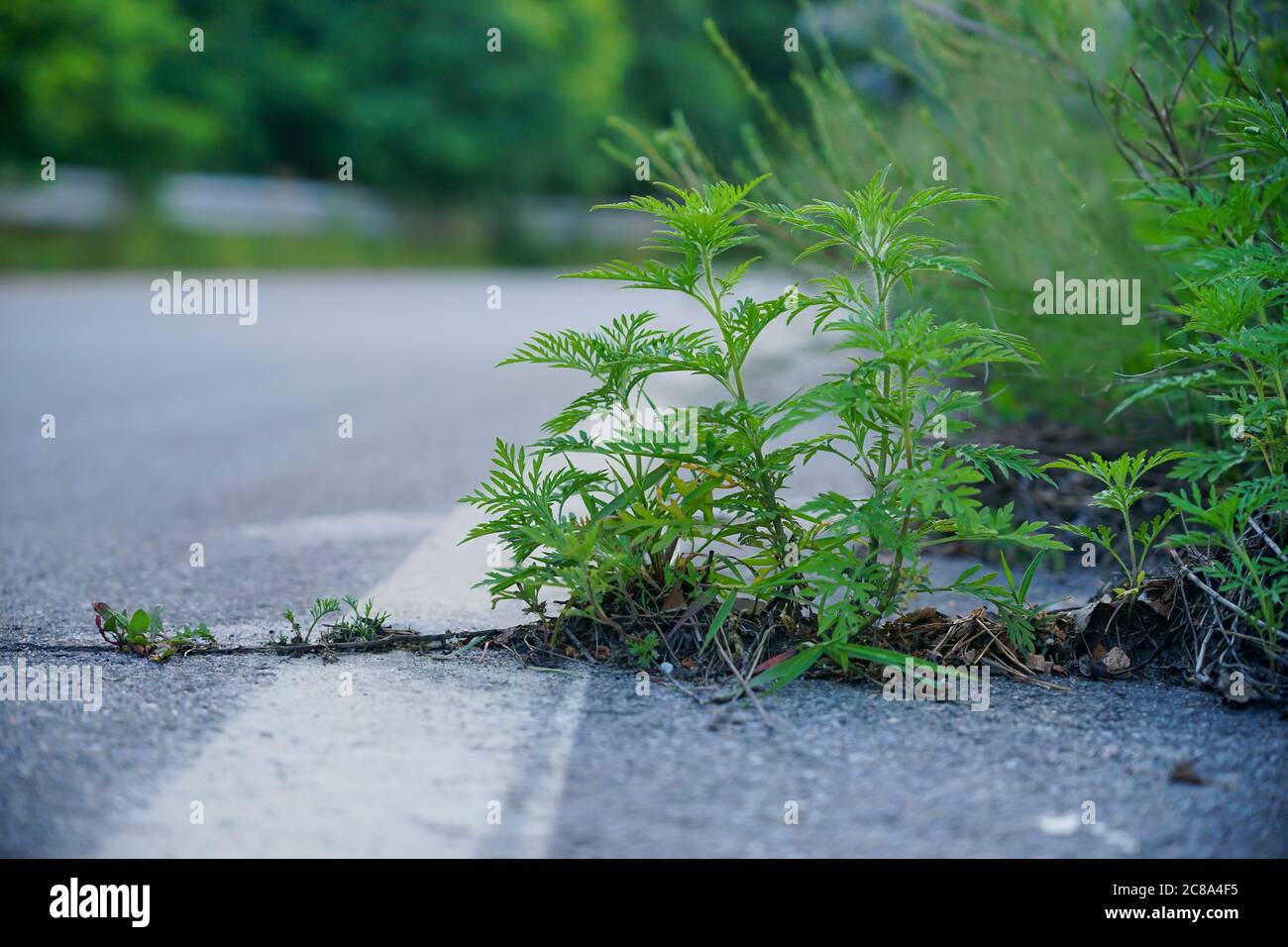 Strong road hi-res stock photography and images - Alamy