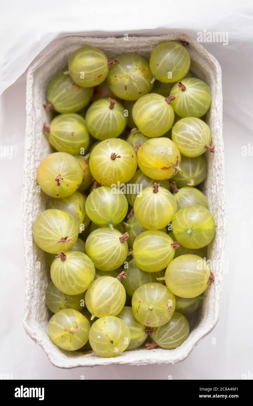 Gooseberry in cartoon punnet, daylight Stock Photo - Alamy