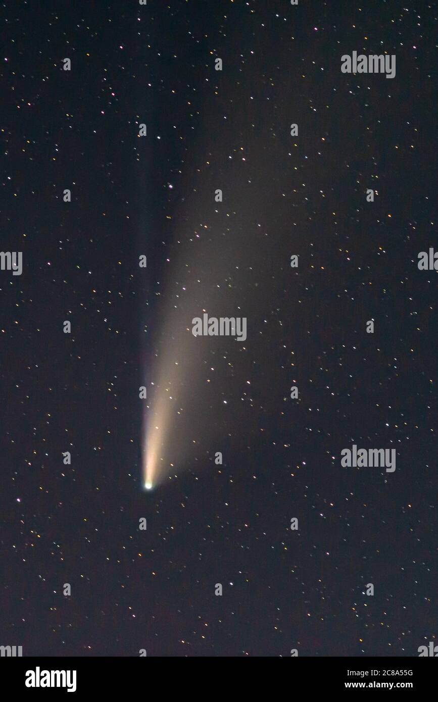 Neowise comet twin tails glowing in the night sky. Telephoto view ...