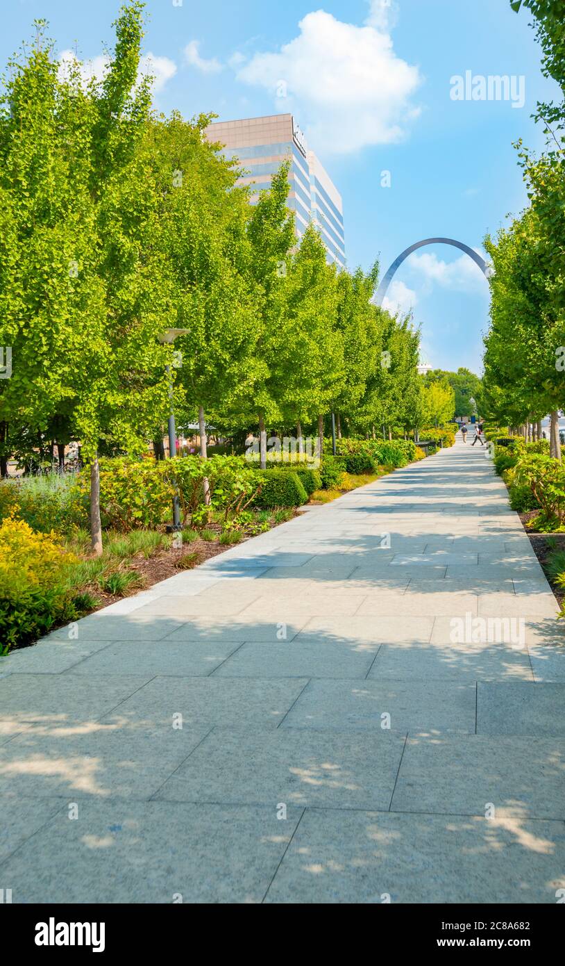 St Louis USA - September 2 2014: Ginko trees and gardens line and shade ...