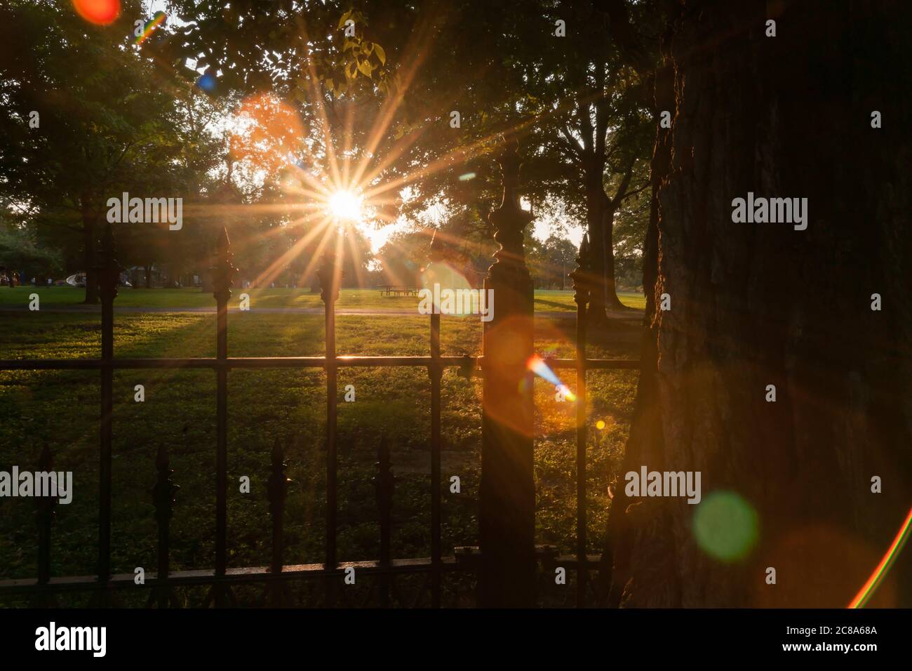 Long shadows through wrought iron fence surrounding La Fayette Park ...