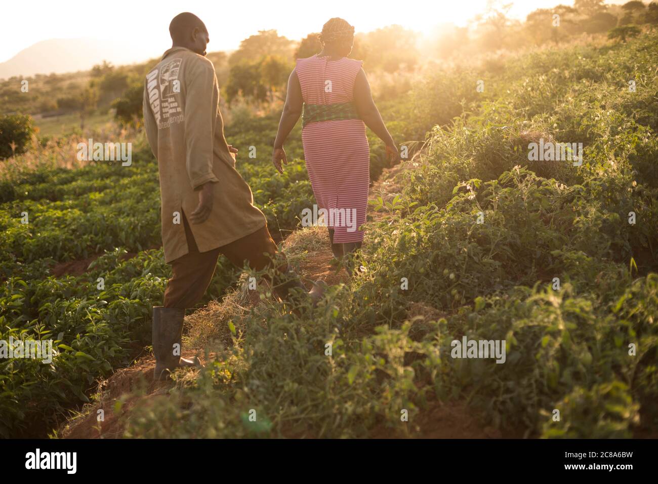 Third husband hi-res stock photography and images - Alamy
