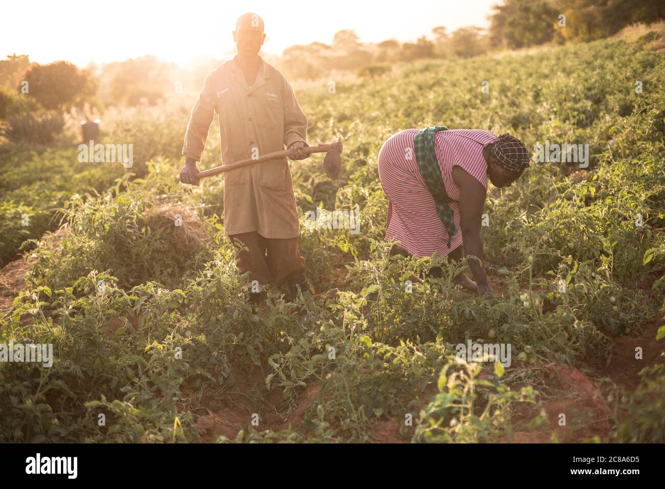 Warm lens flare High Resolution Stock Photography and Images - Alamy