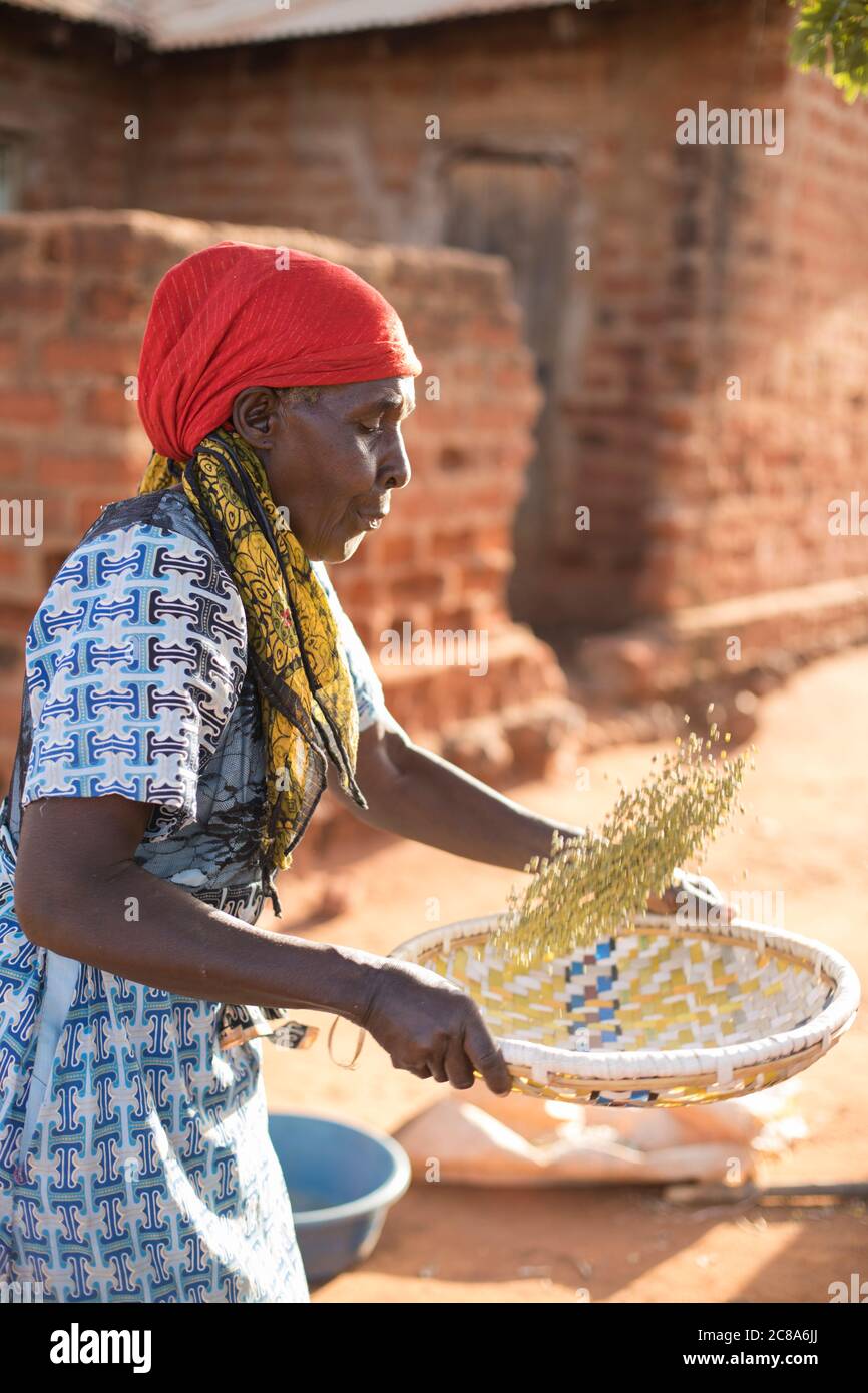 Winnowing - the process of removing chaff and debris from food - is ...