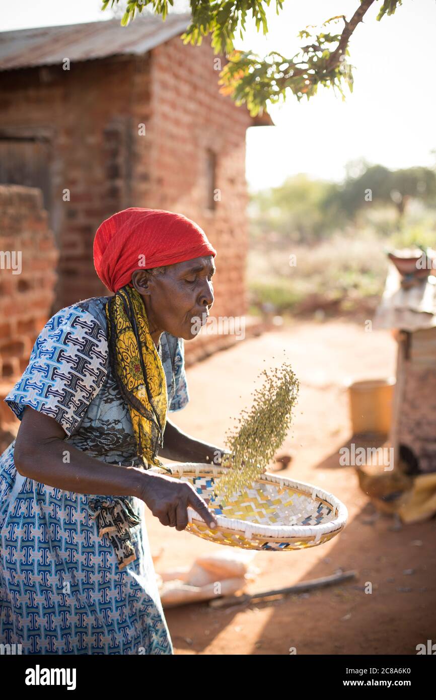 Winnowing hi-res stock photography and images - Alamy