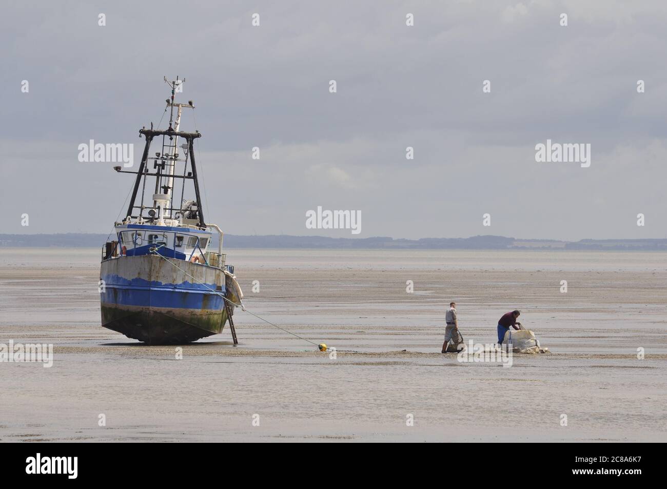 Commercial fishing boats from Boston and and King's Lynn hand-raking ...