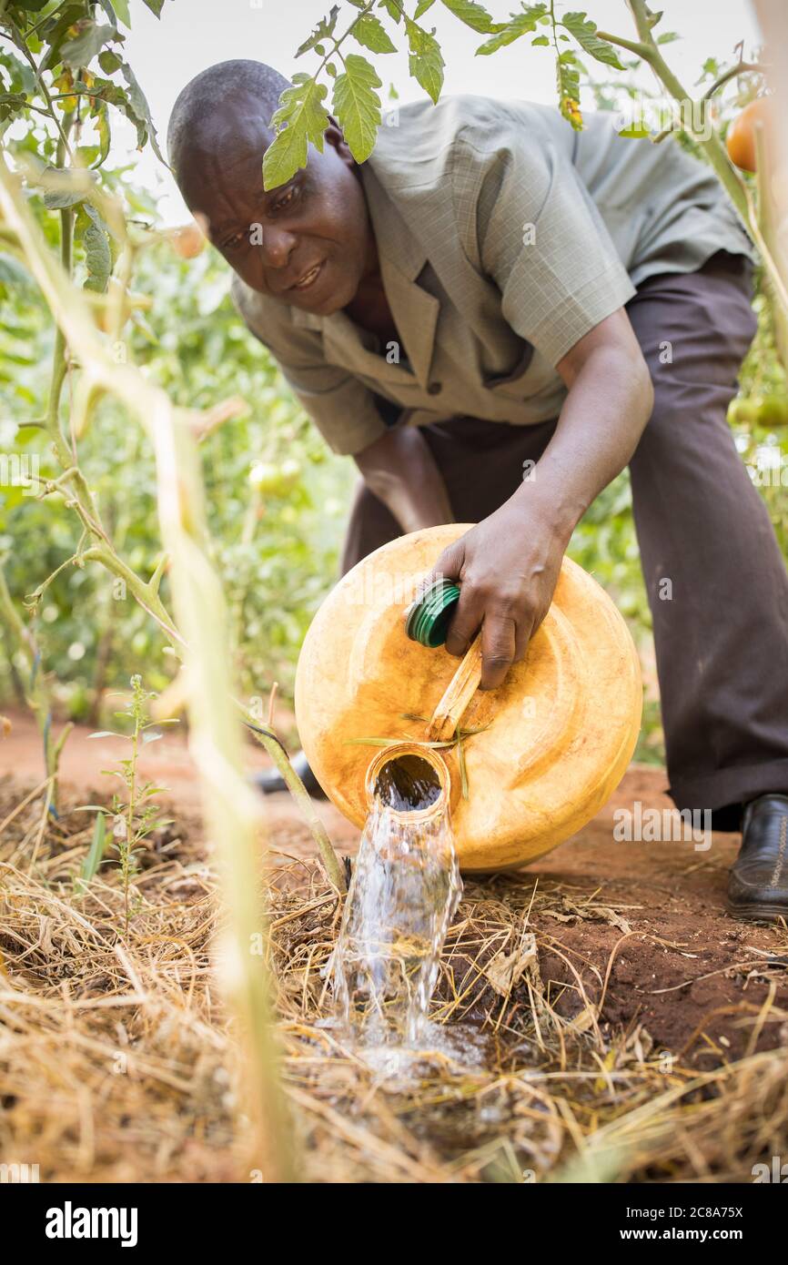 Farmer garden hi-res stock photography and images - Alamy
