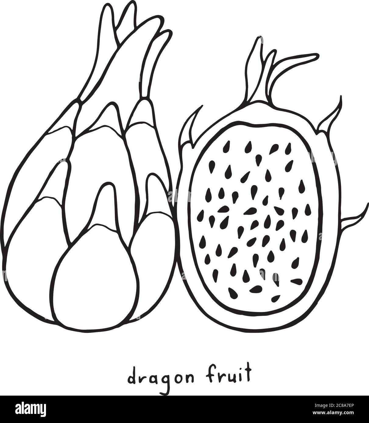 Dragon fruit coloring page. Graphic vector black and white art for ...