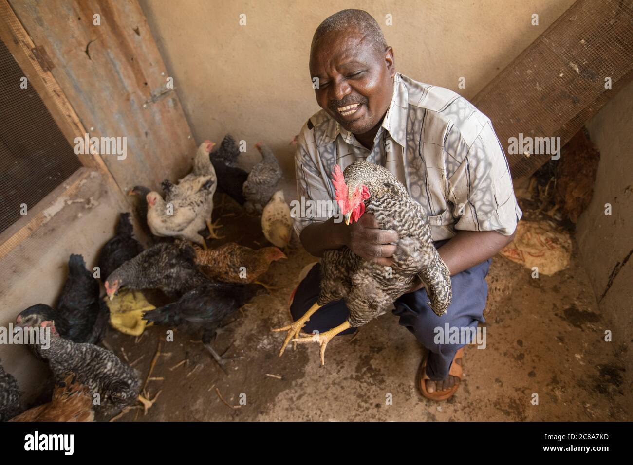 Chicken coop africa hi-res stock photography and images - Alamy