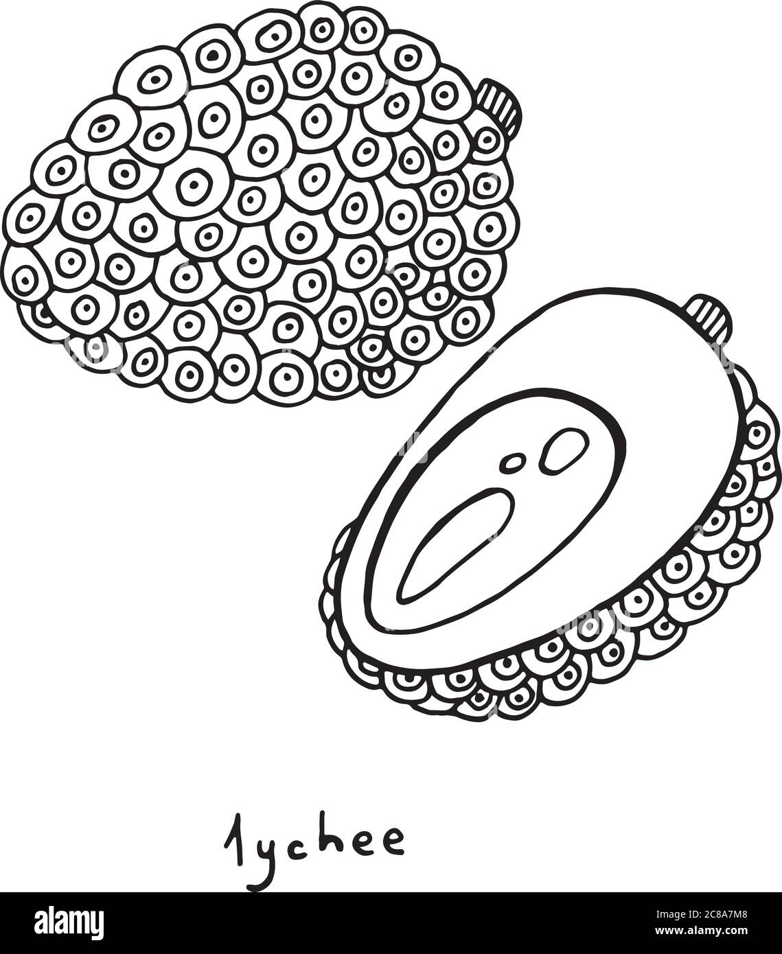 Lychee coloring page. Graphic vector black and white art for coloring ...