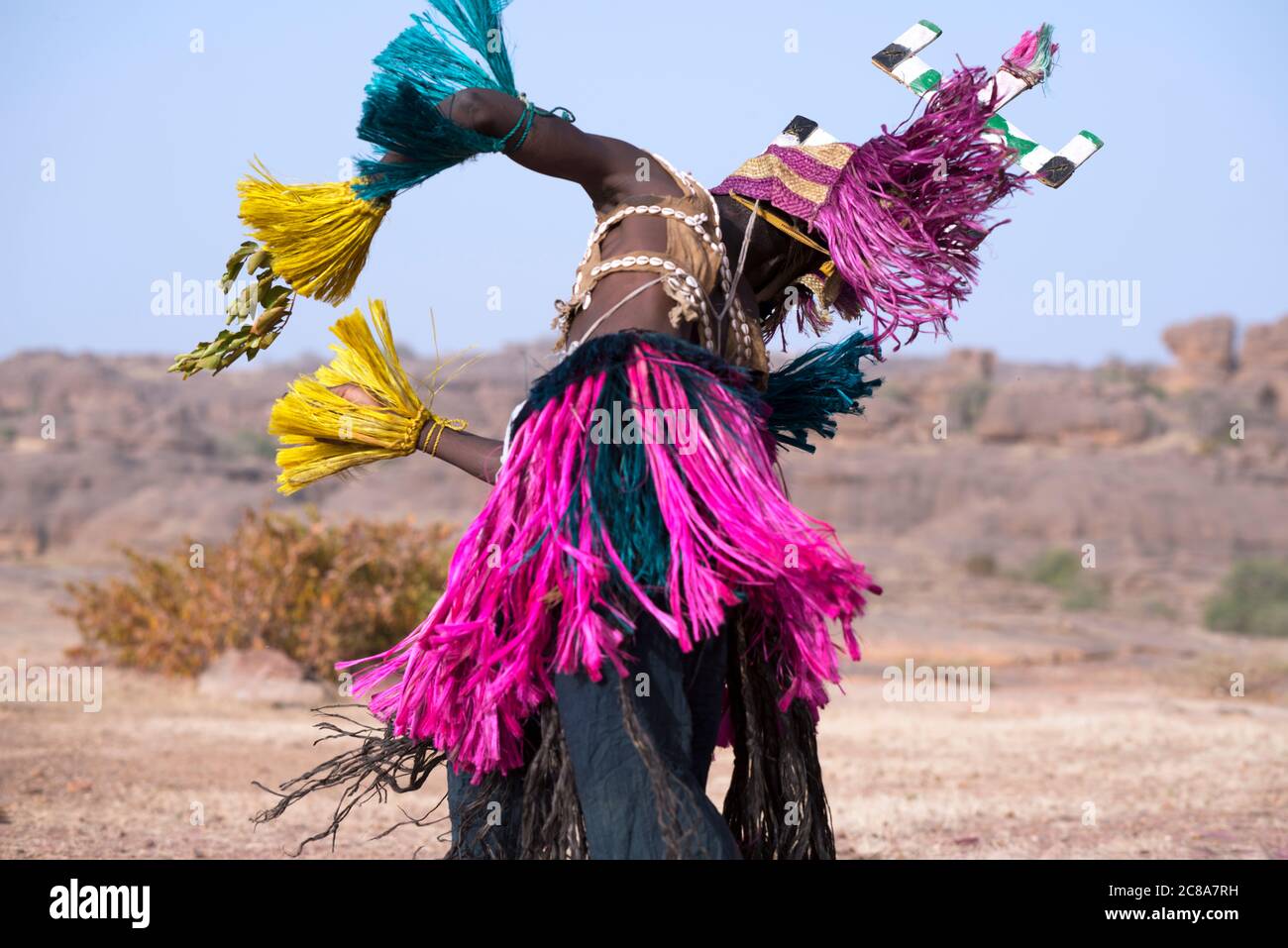 An indigenous, ethnic Dogon man performing a ritual tribal masked dance ...