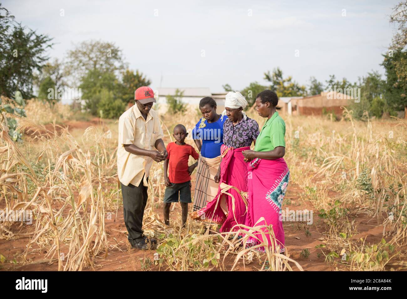 Poor agricultural practices hi-res stock photography and images - Alamy