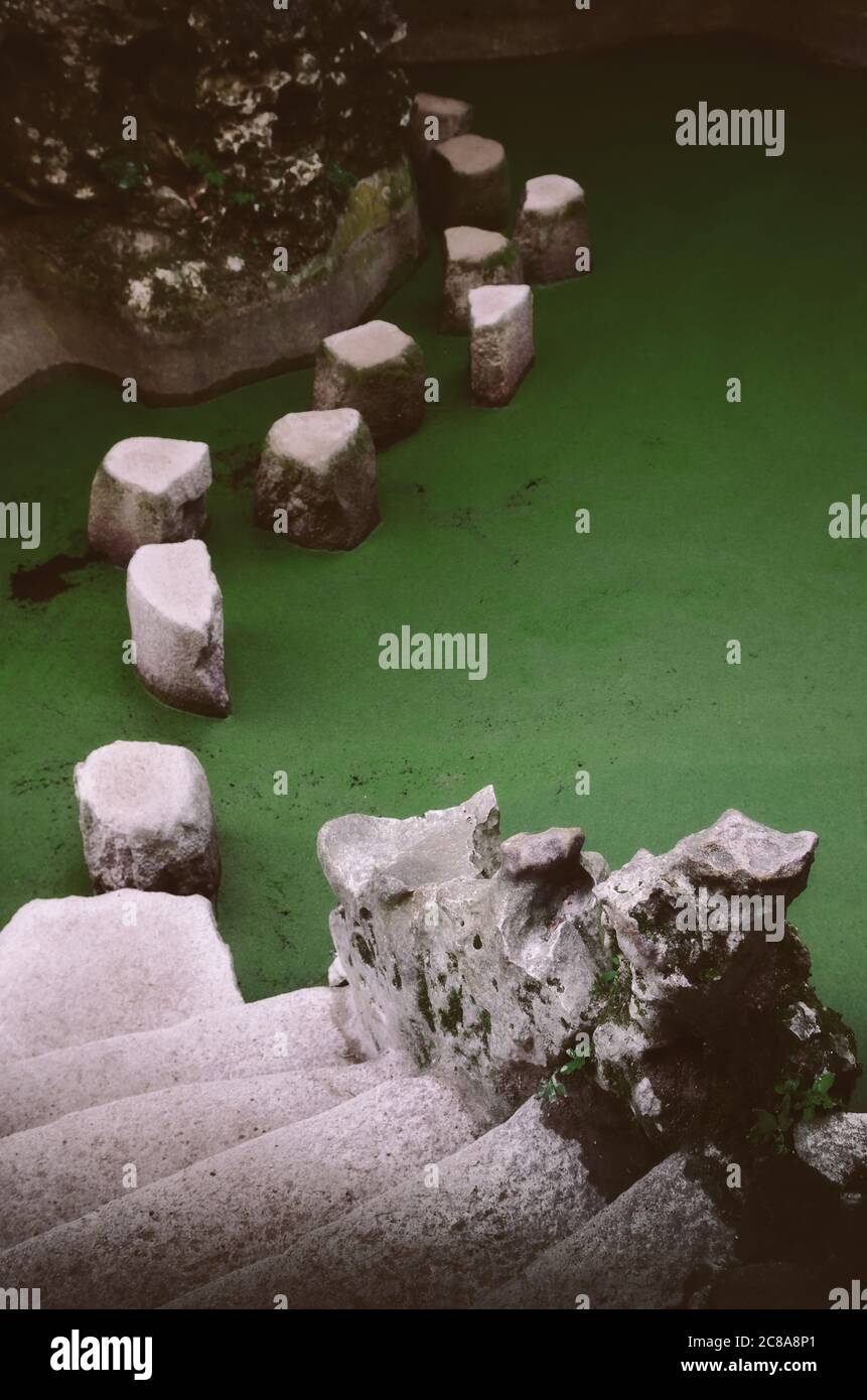 beautiful and easy path made of stones to cross, step by step, a green ...