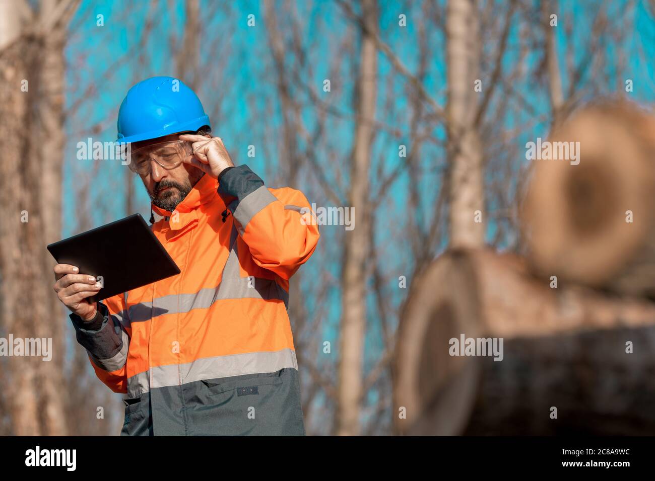 Forestry technician using digital tablet computer in forest for logging ...