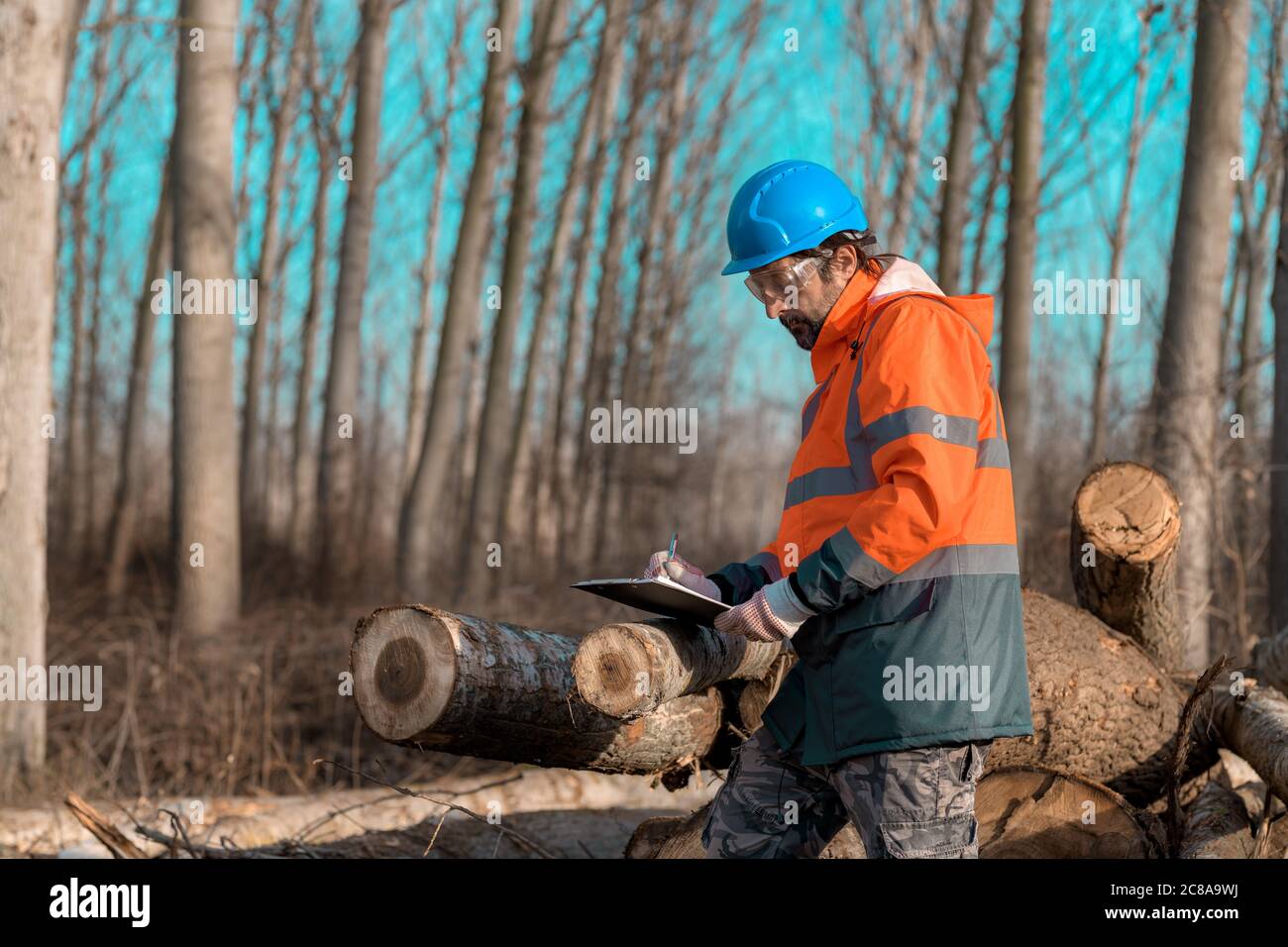 Forestry technician writing logging process notes on clipboard notepad ...
