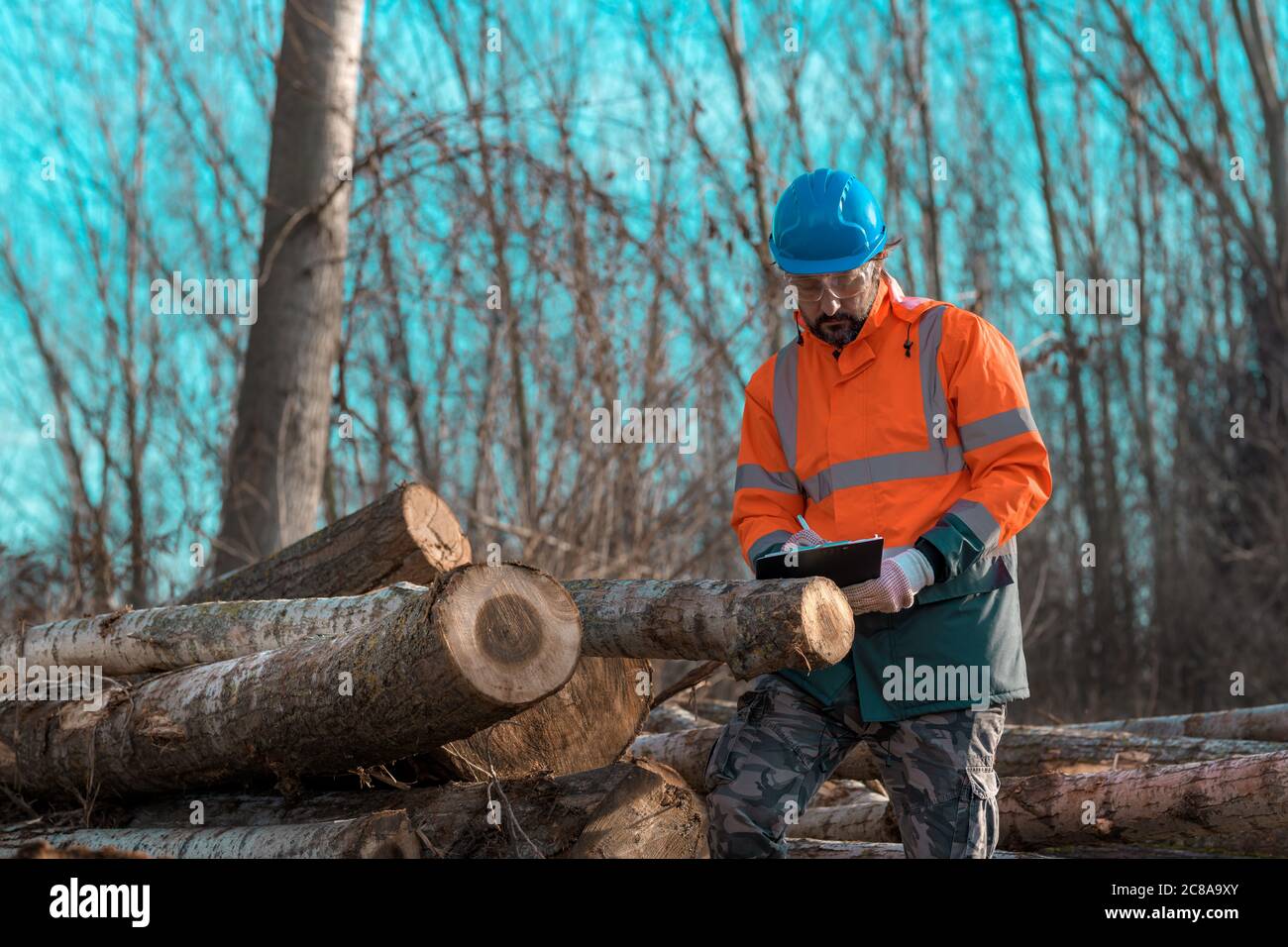 Forestry technician writing logging process notes on clipboard notepad ...