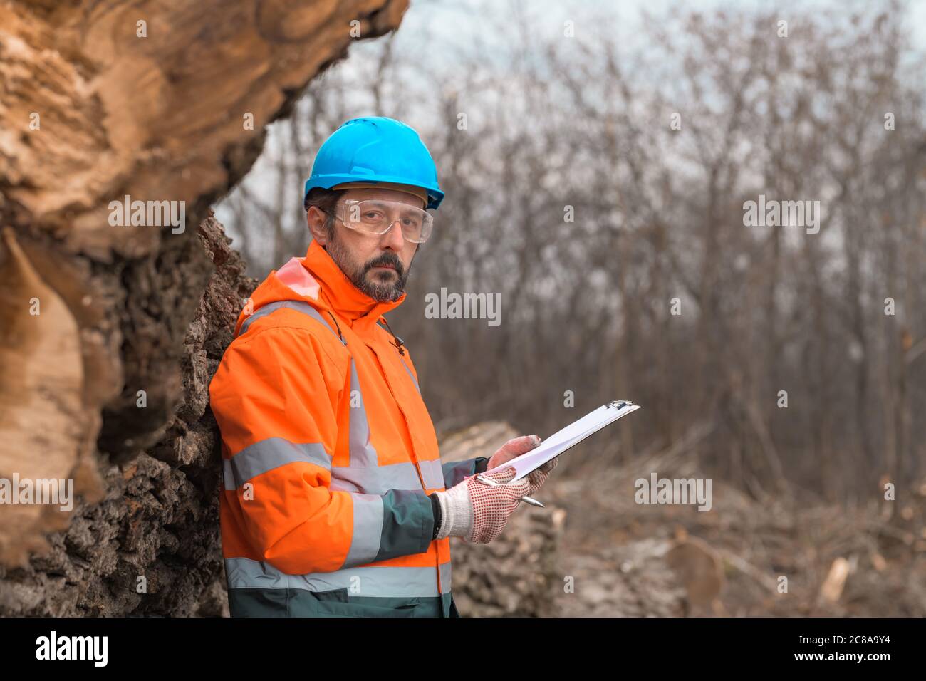 Forestry technician writing notes on clipboard notepad paper in forest ...