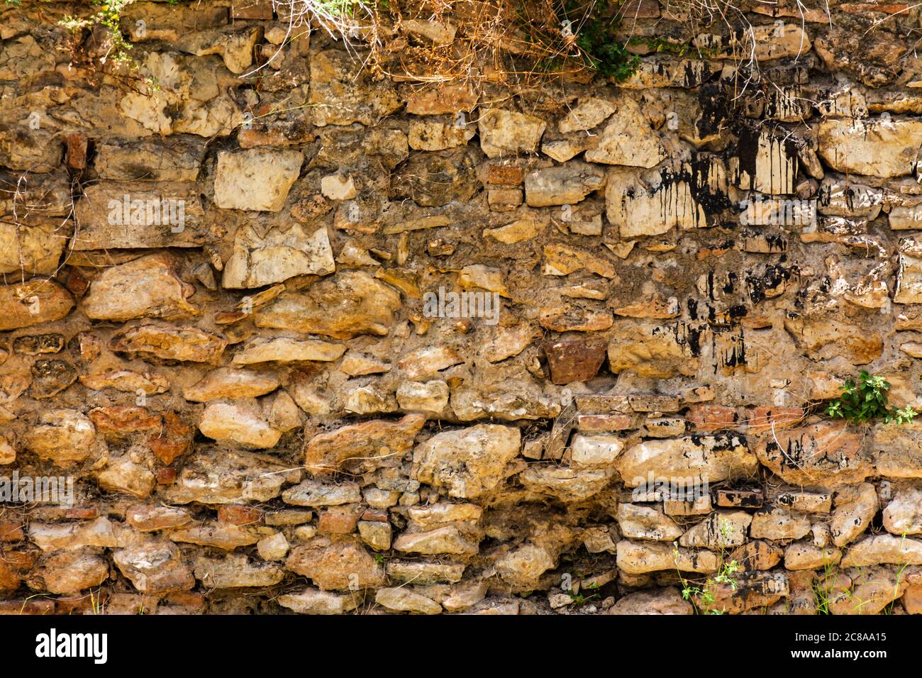 Wall of stones and clay bricks of an old house with little plants and ...