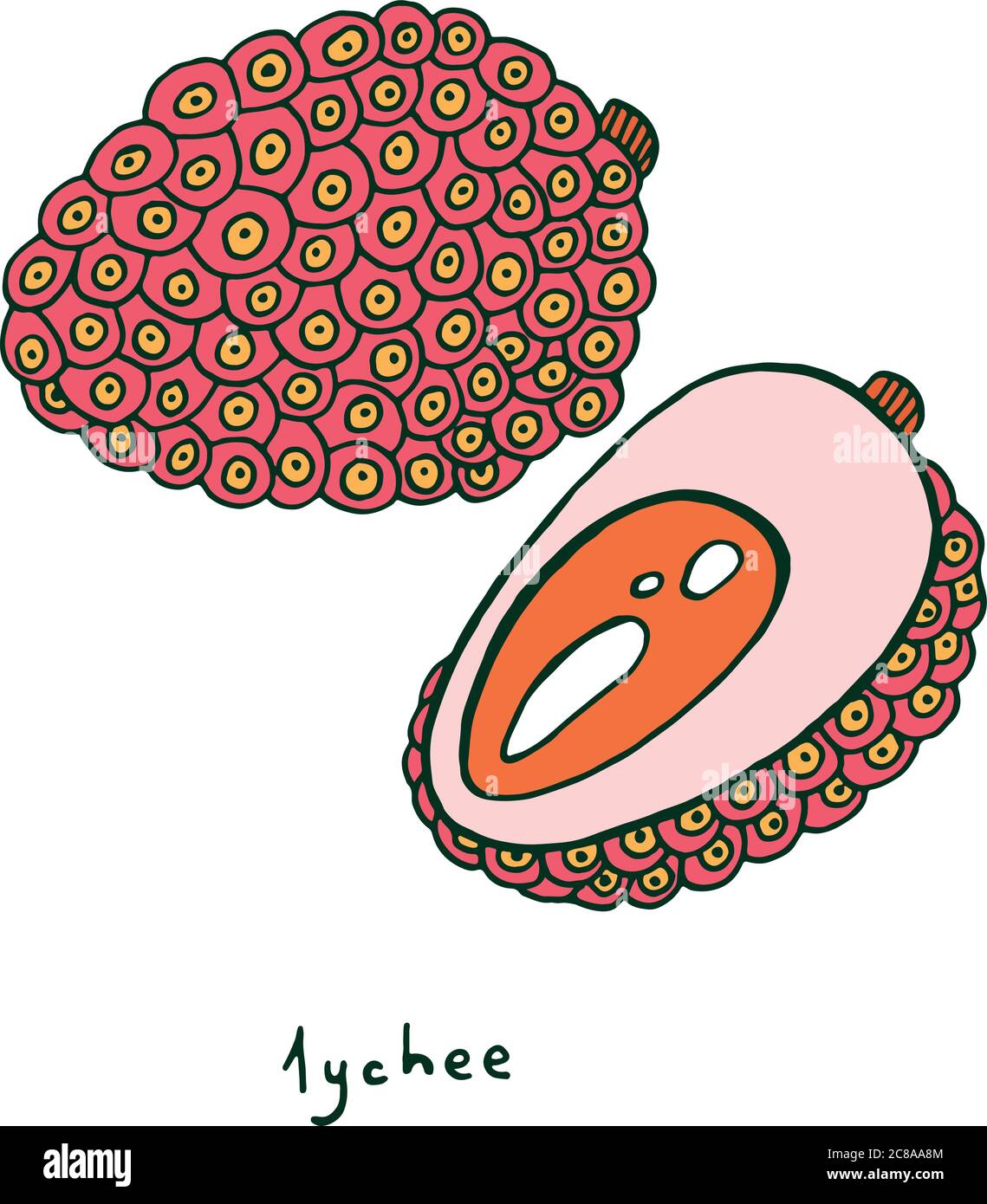 Lychee fruit coloring page. Graphic vector colorful doodle art for ...