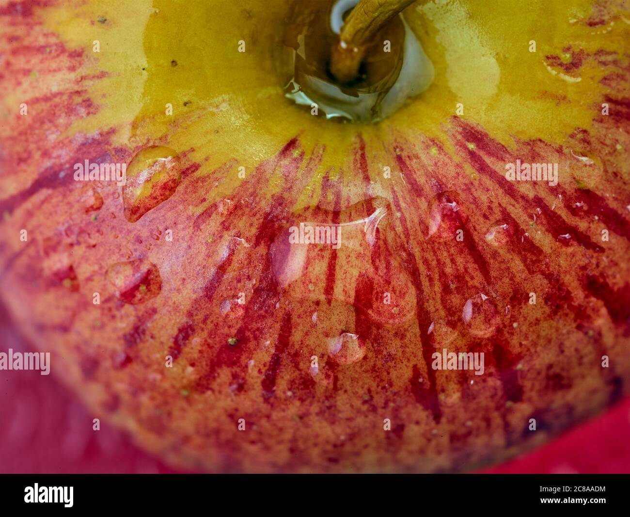 Red eating apple and water droplets on plain coloured background, food ...