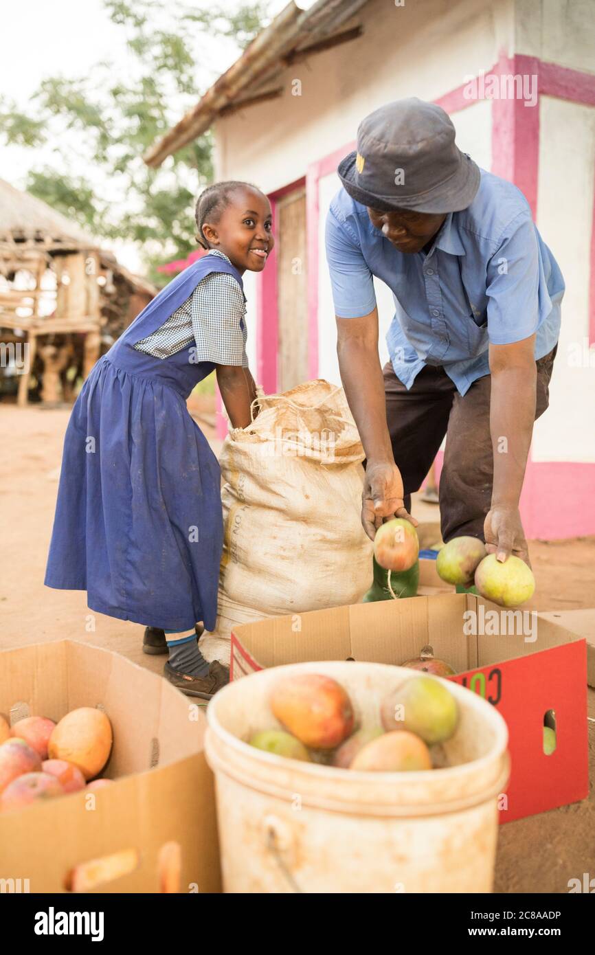 Boxes of mangos hi-res stock photography and images - Alamy