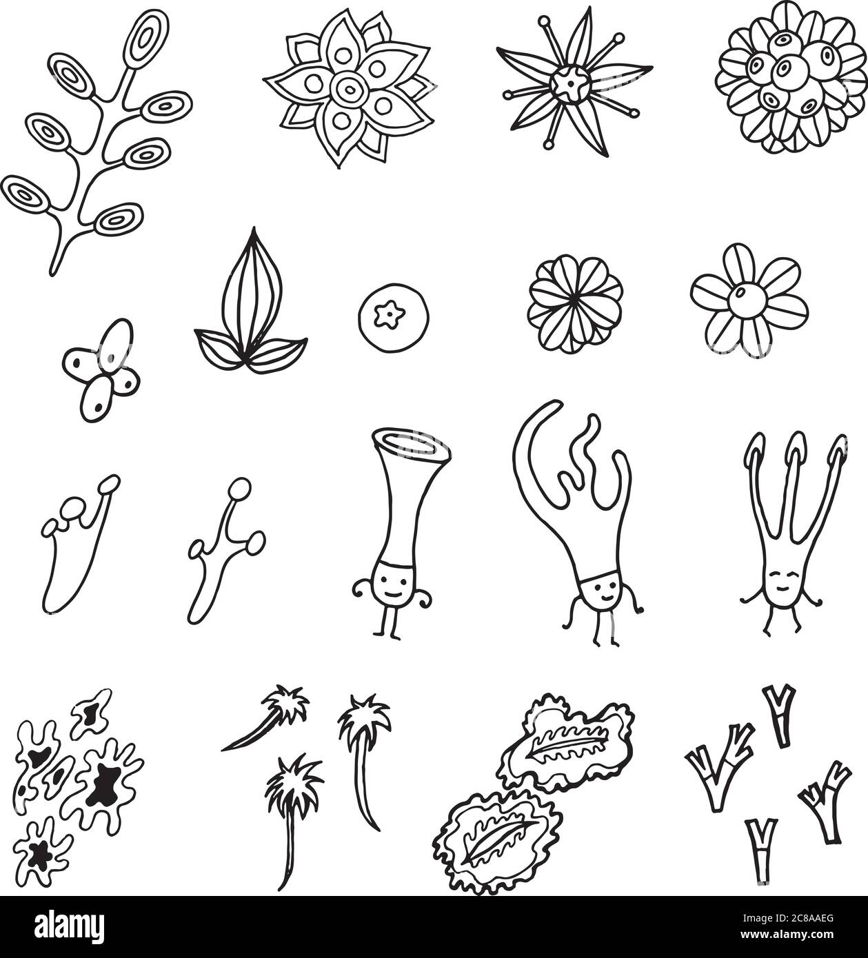 Plant element collection Stock Vector Image & Art - Alamy