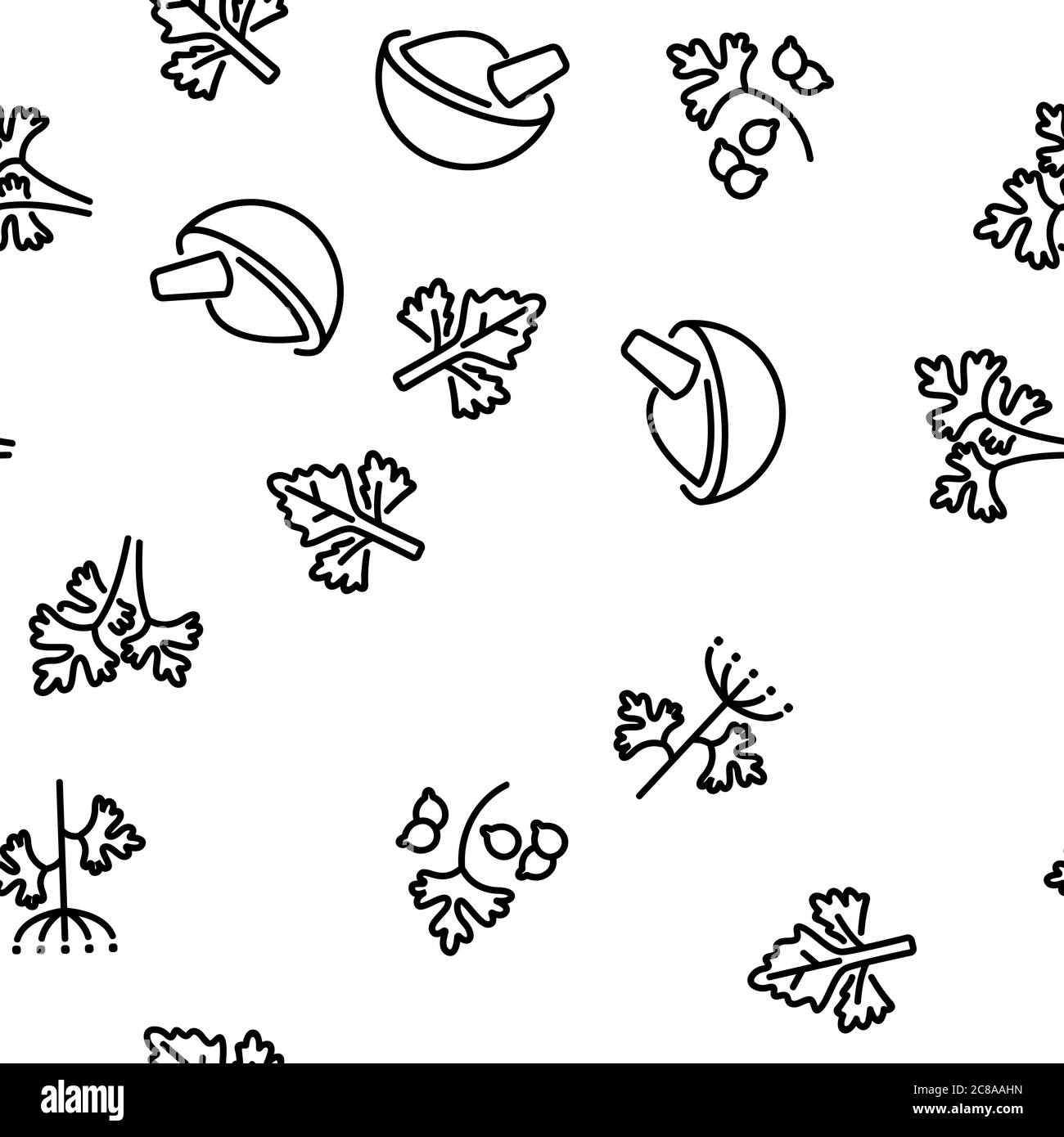 Coriander Herbal Plant Vector Seamless Pattern Stock Vector Image & Art ...
