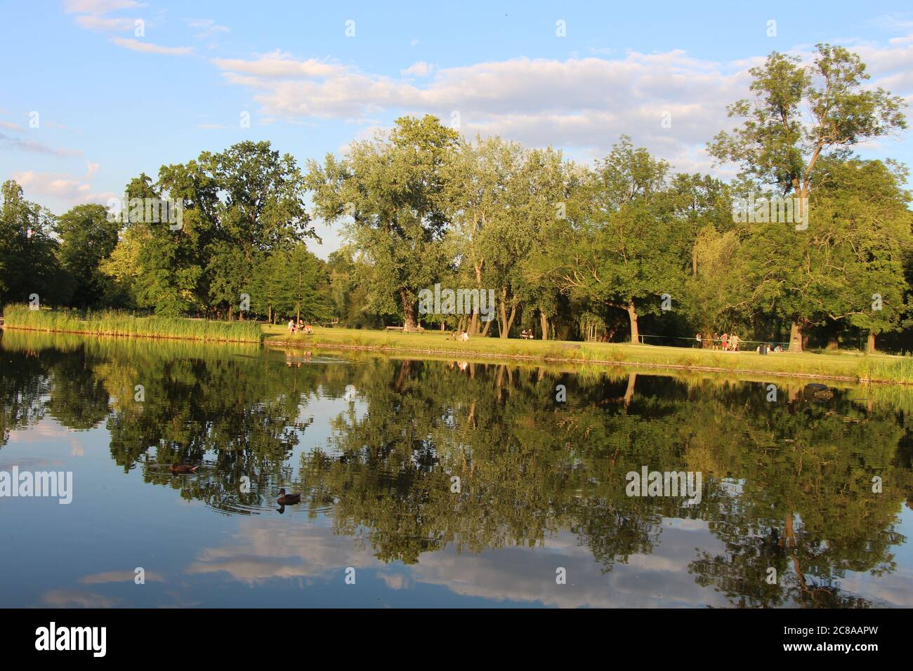 A pond, grassy grounds and trees in Stromovka Park- you can also see ...