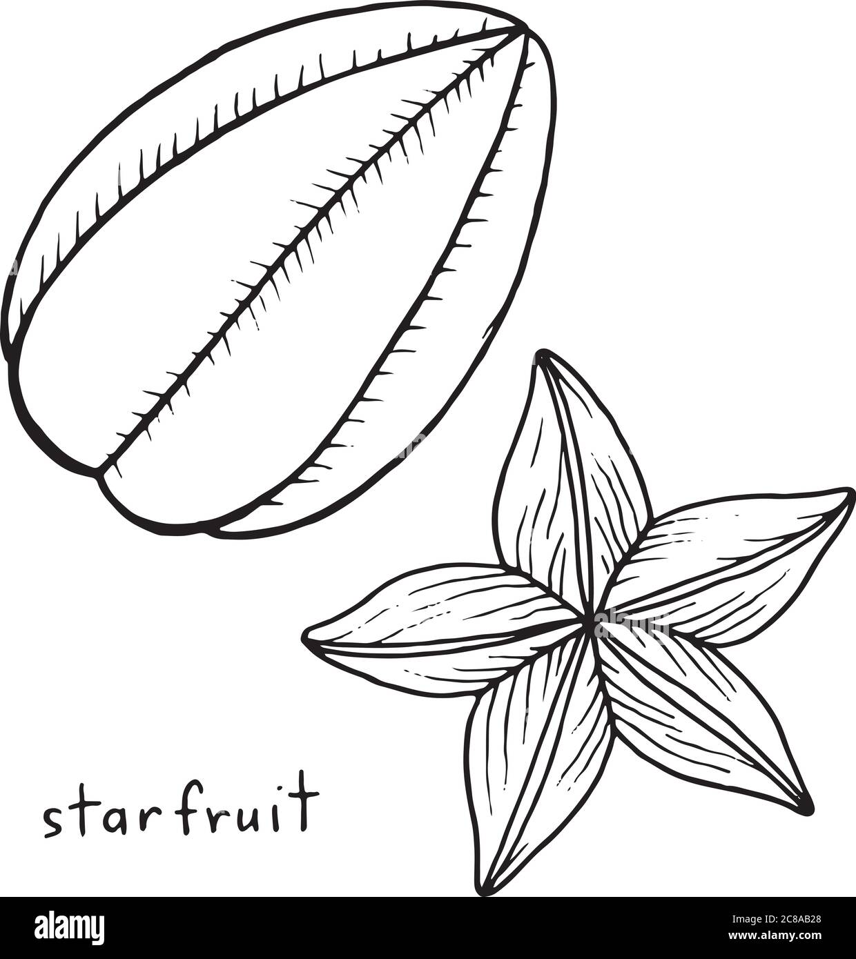 Starfruit Coloring Page