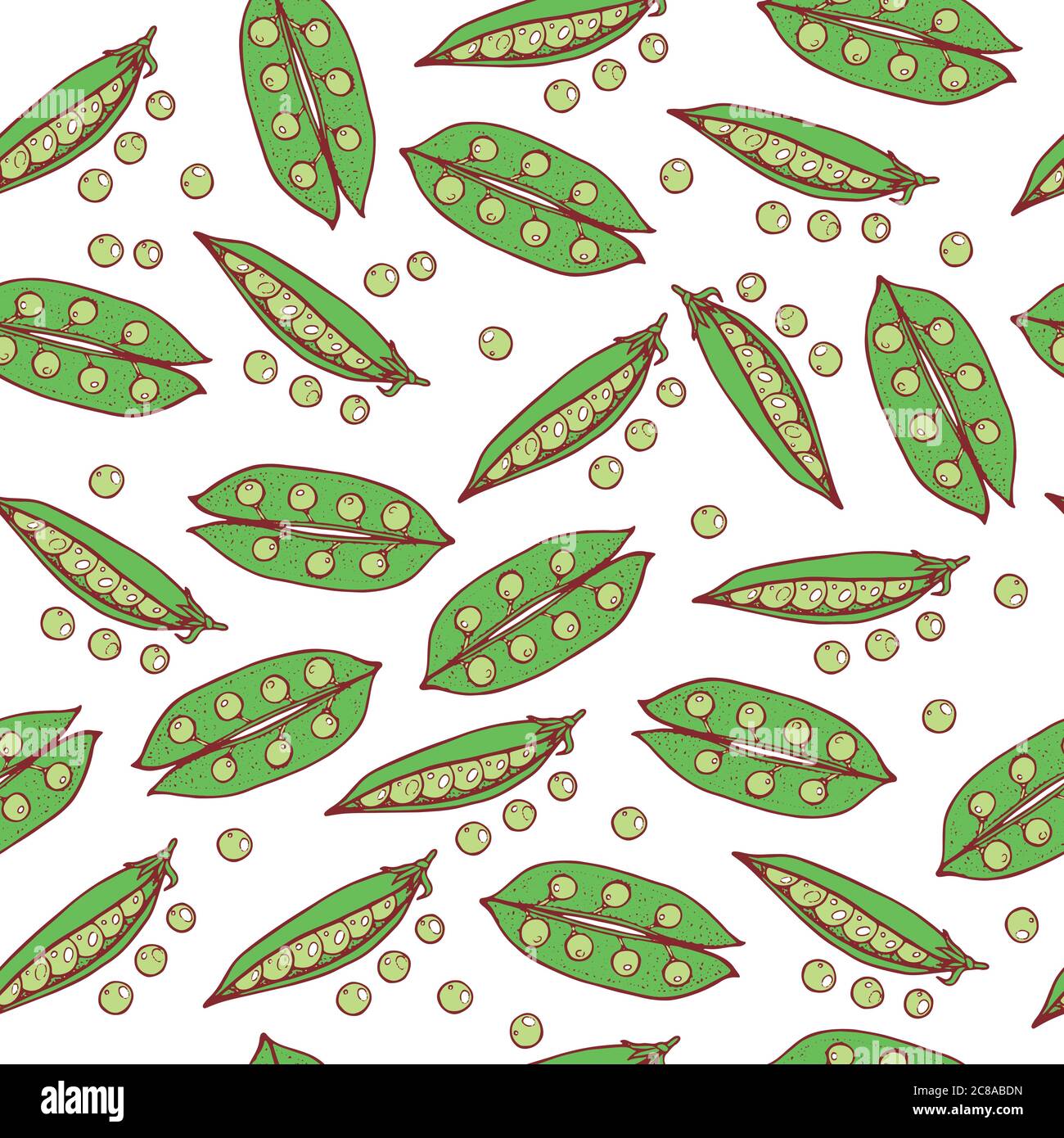Pea plant drawing Stock Vector Images - Alamy