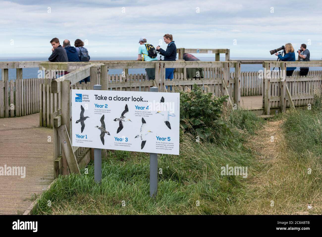 Bird spotters at Bempton Cliffs,Yorkshire, with RSPB sign showing the ...