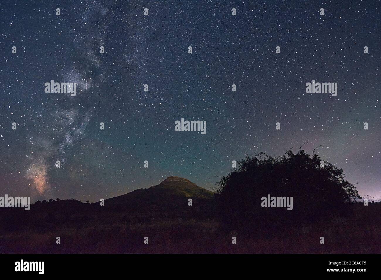 Tree night photography hi-res stock photography and images - Alamy