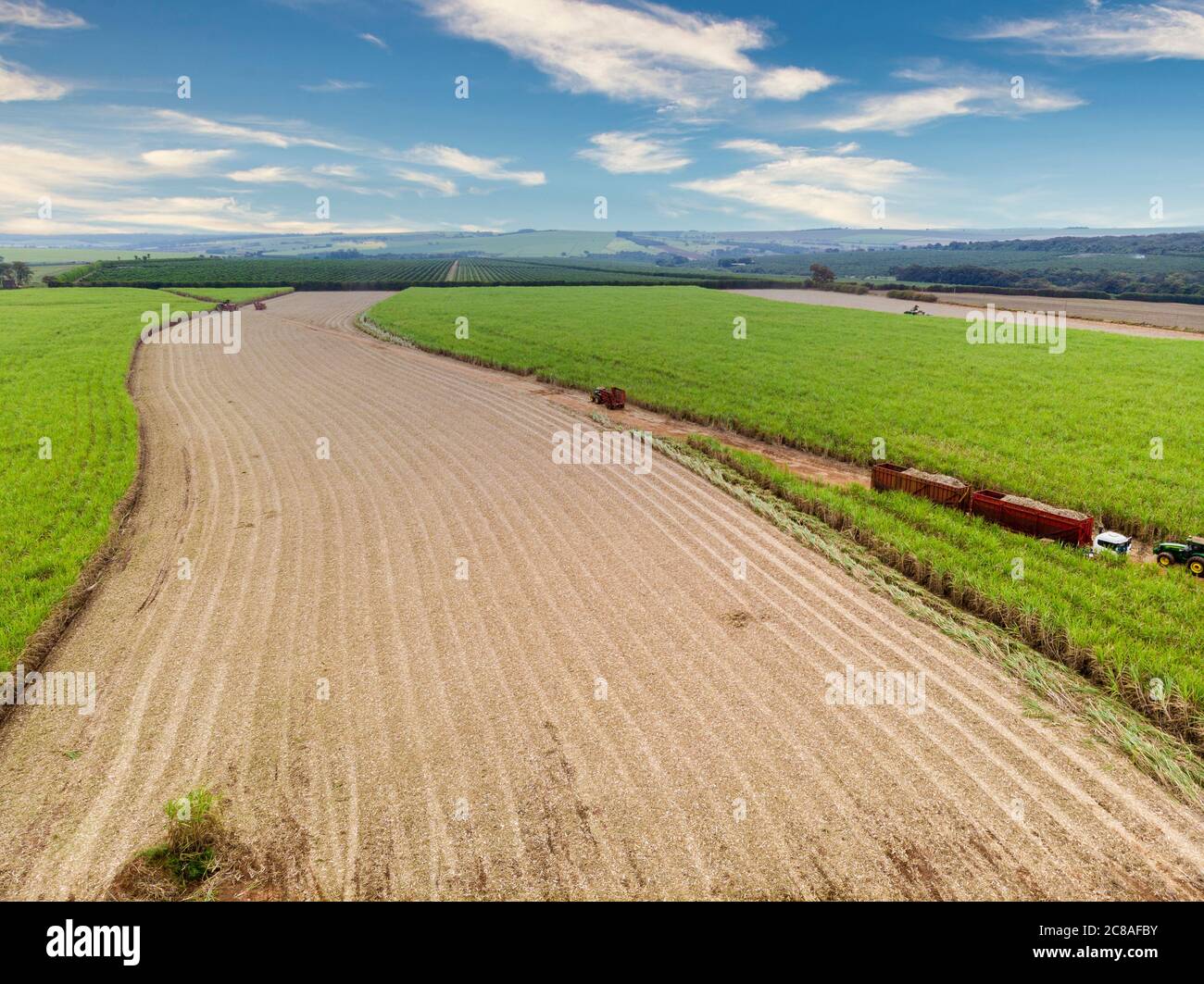 Aerial sugarcane field in Brazil. Tractor working, agribusiness Stock ...