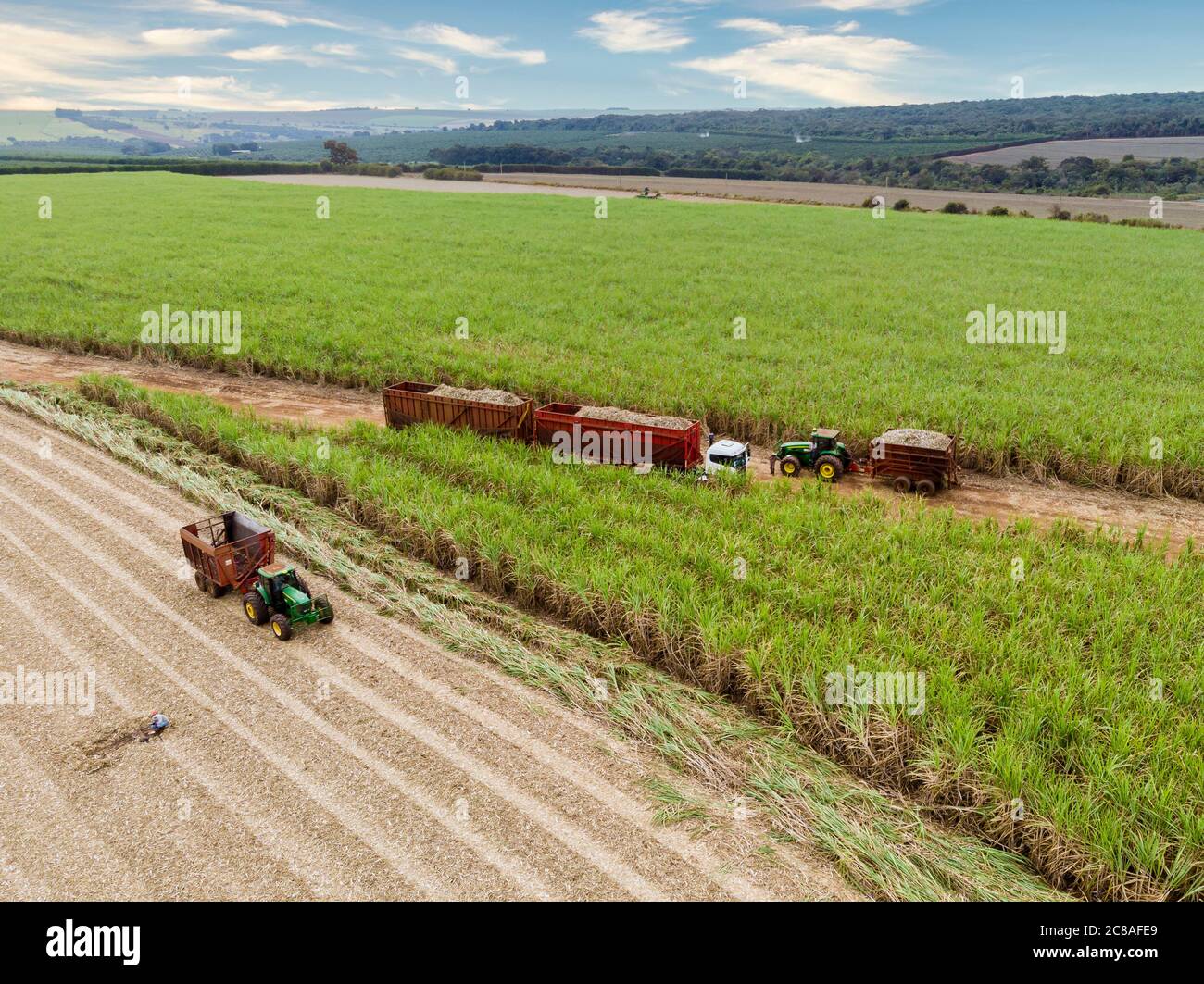 Aerial sugarcane field in Brazil. Tractor working, agribusiness Stock ...