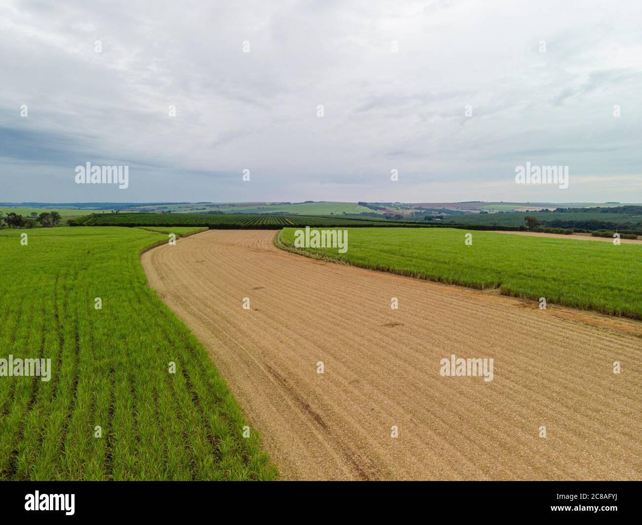 Sugar cane plantation sunset view hi-res stock photography and images ...